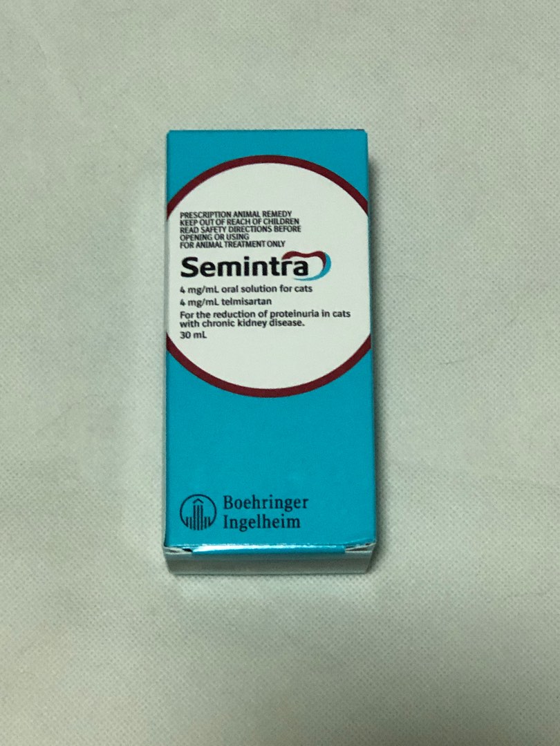 Semintra Telmisartan, Pet Supplies, Health & Grooming on Carousell