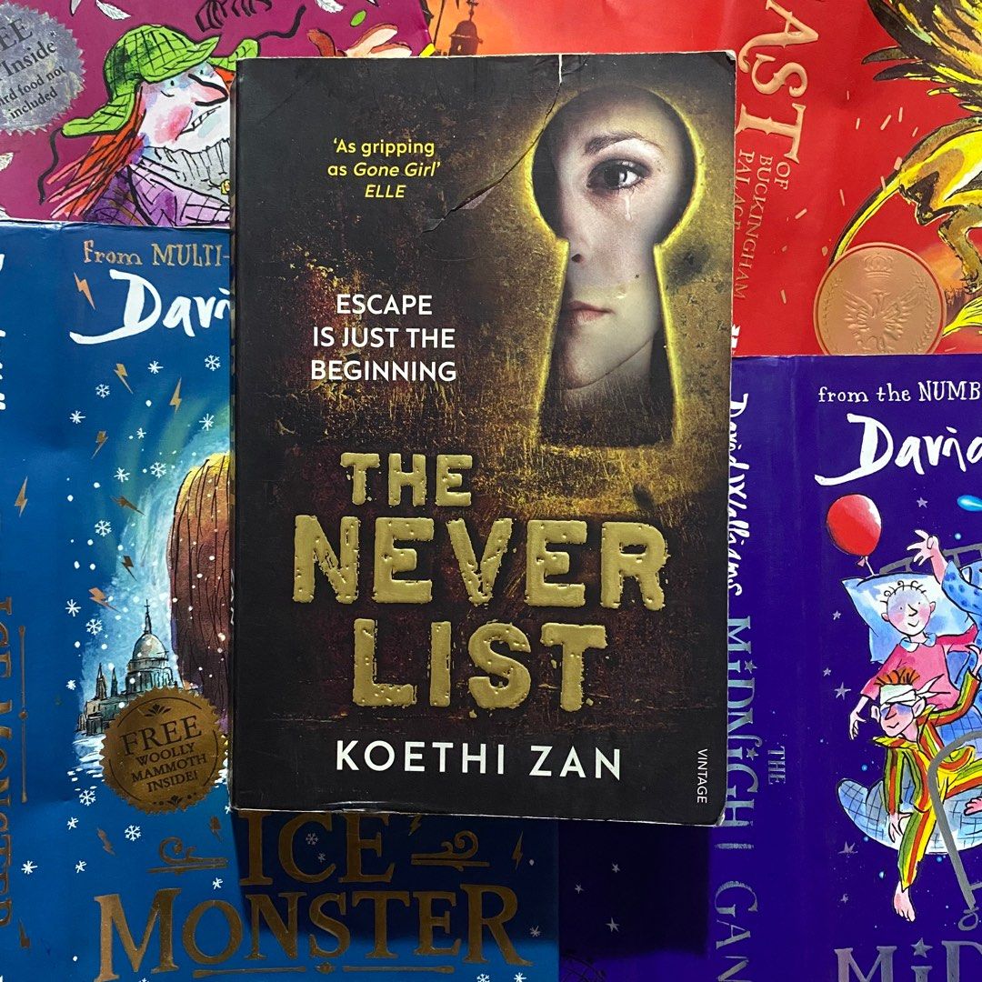 The Never List by Koethi Zan, Hobbies & Toys, Books & Magazines ...