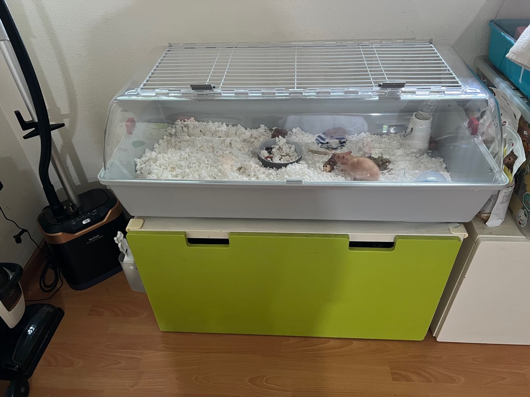 Living world ZooZone Cage 2, TV & Home Appliances, Other Home Appliances on Carousell