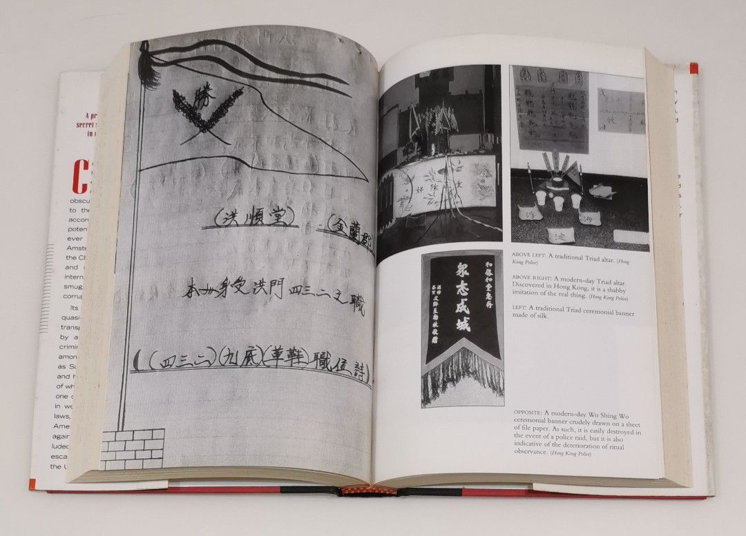 Hardcover. THE DRAGON SYNDICATES. THE GLOBAL PHENOMENON OF THE TRIADS ...