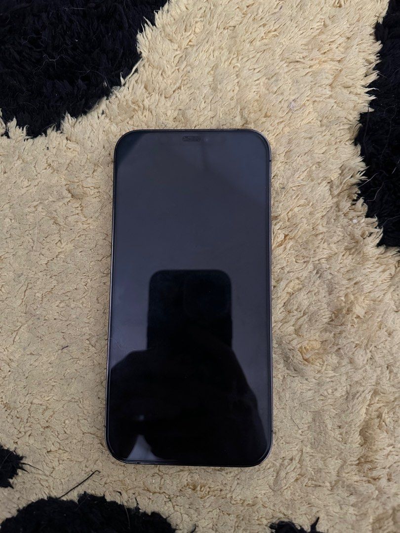 iPhone 12 Pro Max (128 GB), Mobile Phones & Gadgets, Mobile Phones ...