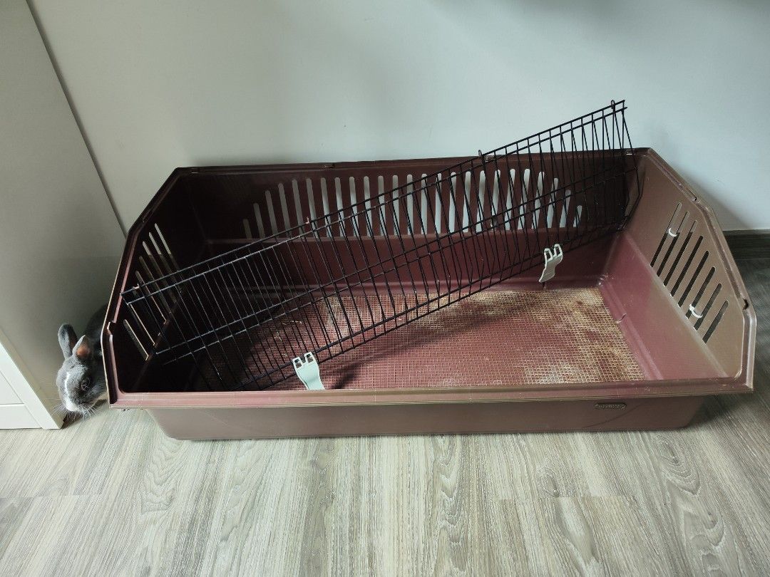Riyoka Cage, Pet Supplies, Homes & Other Pet Accessories on Carousell