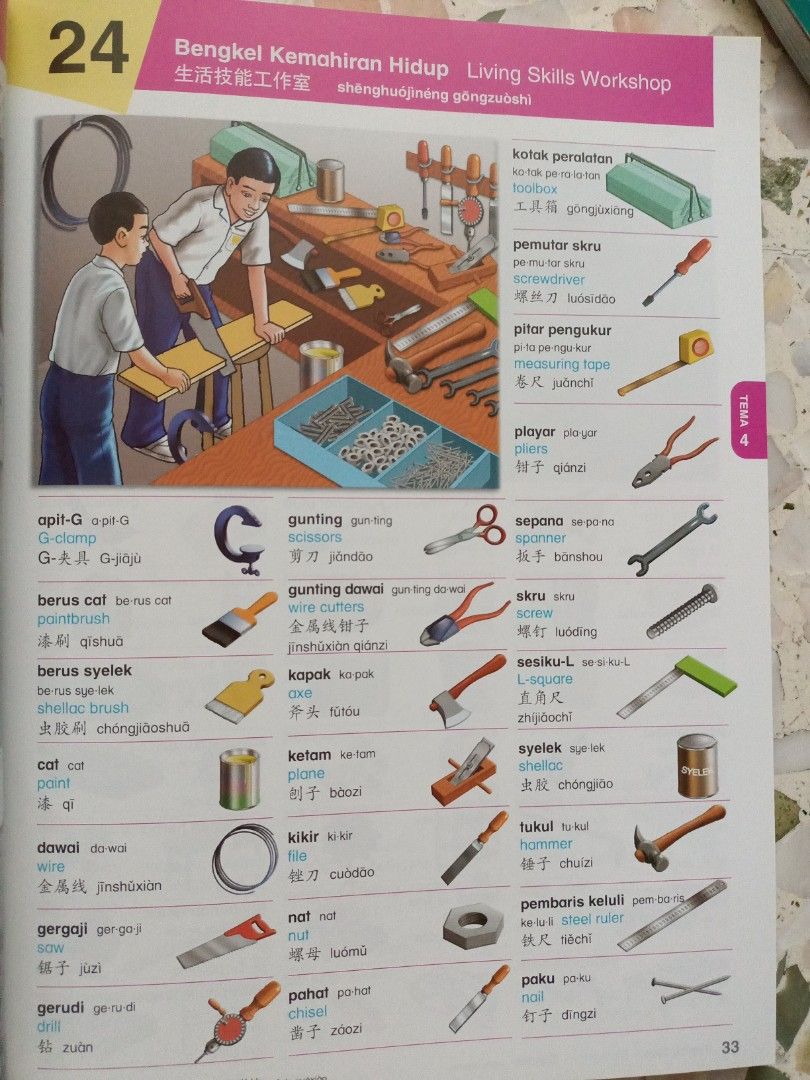 Simple picture dictionary for Chinese, English and Malay, Hobbies & Toys, Books & Magazines ...