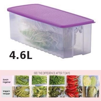 Tupperware Fridge Smart Large 4.6L, Furniture & Home Living ...