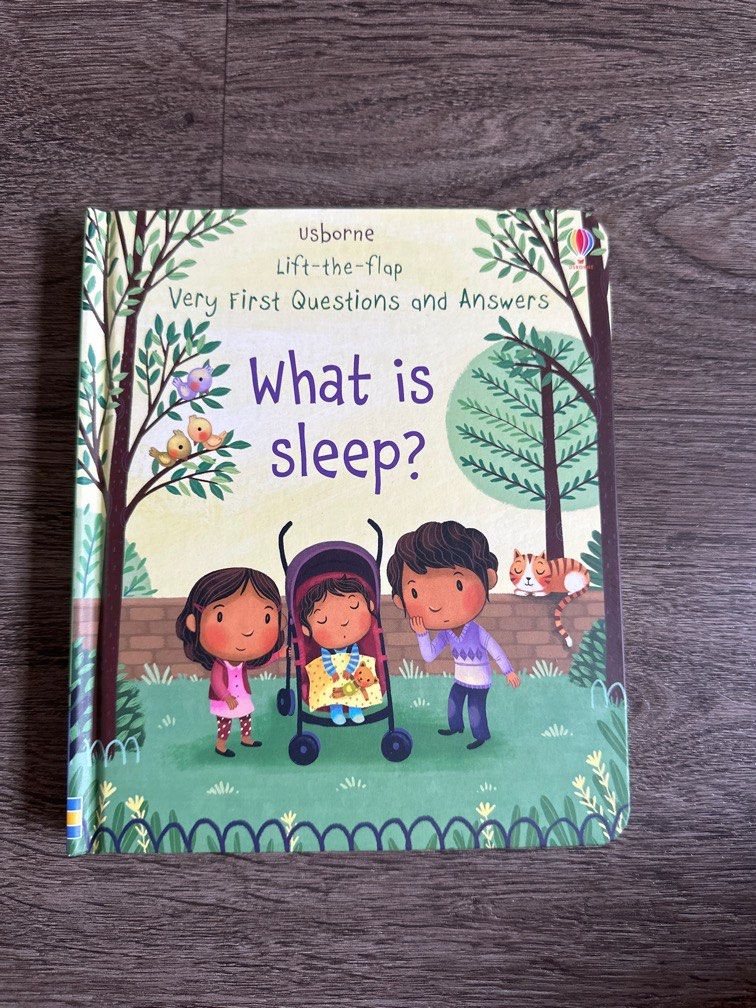 Usborne - what is sleep? Lift the flap, Hobbies & Toys, Books ...