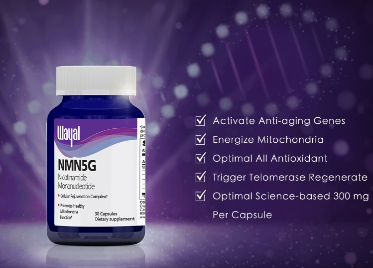 Wayal NMN5G, Health & Nutrition, Health Supplements, Vitamins ...