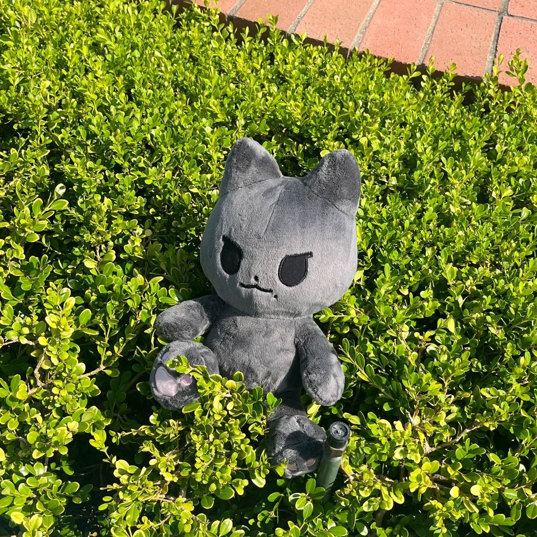 Aespa Karina Jjimyang 40cm Gray Cat Kitten Doll by @jjimyang, Hobbies ...
