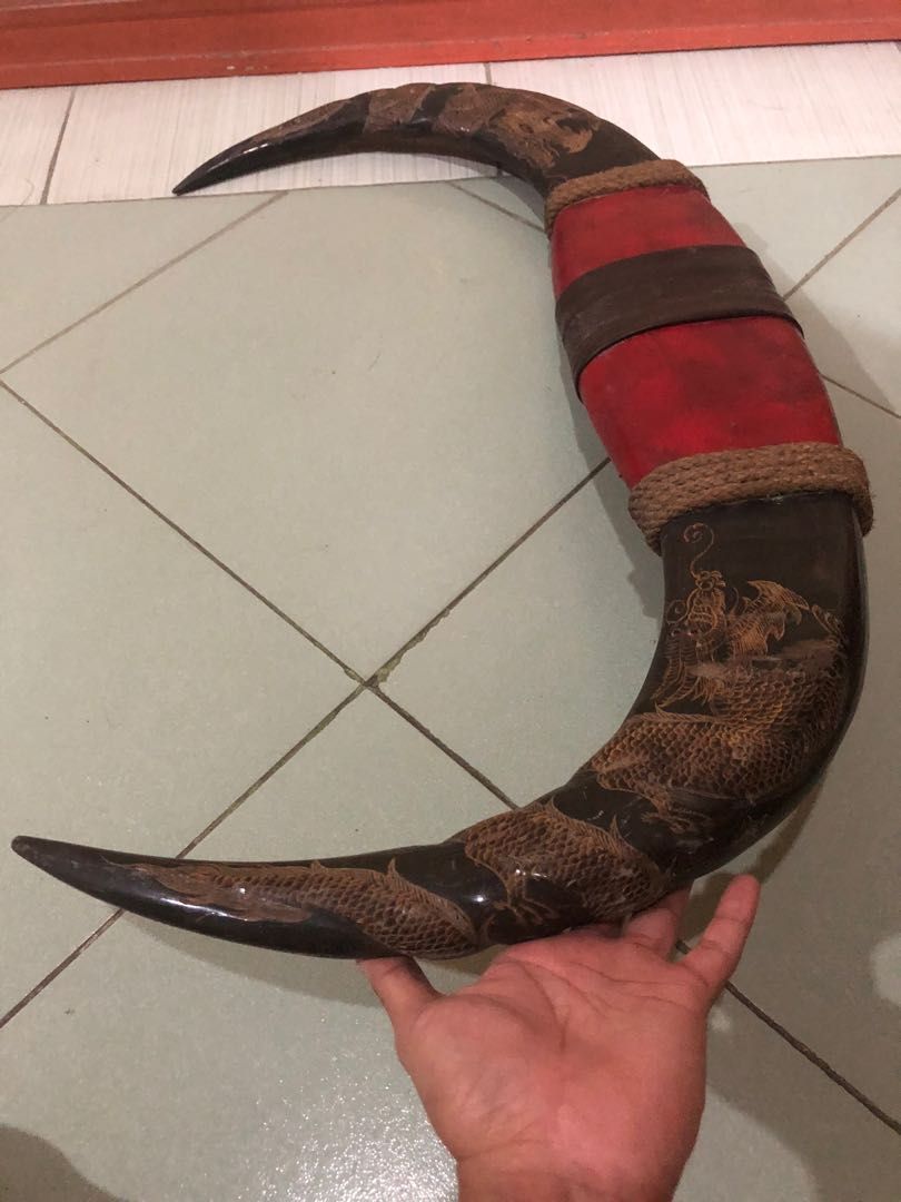 Antique vintage large horn wall display, Hobbies & Toys, Memorabilia ...