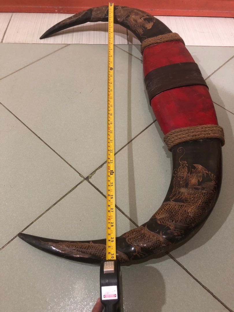 Antique vintage large horn wall display, Hobbies & Toys, Memorabilia ...