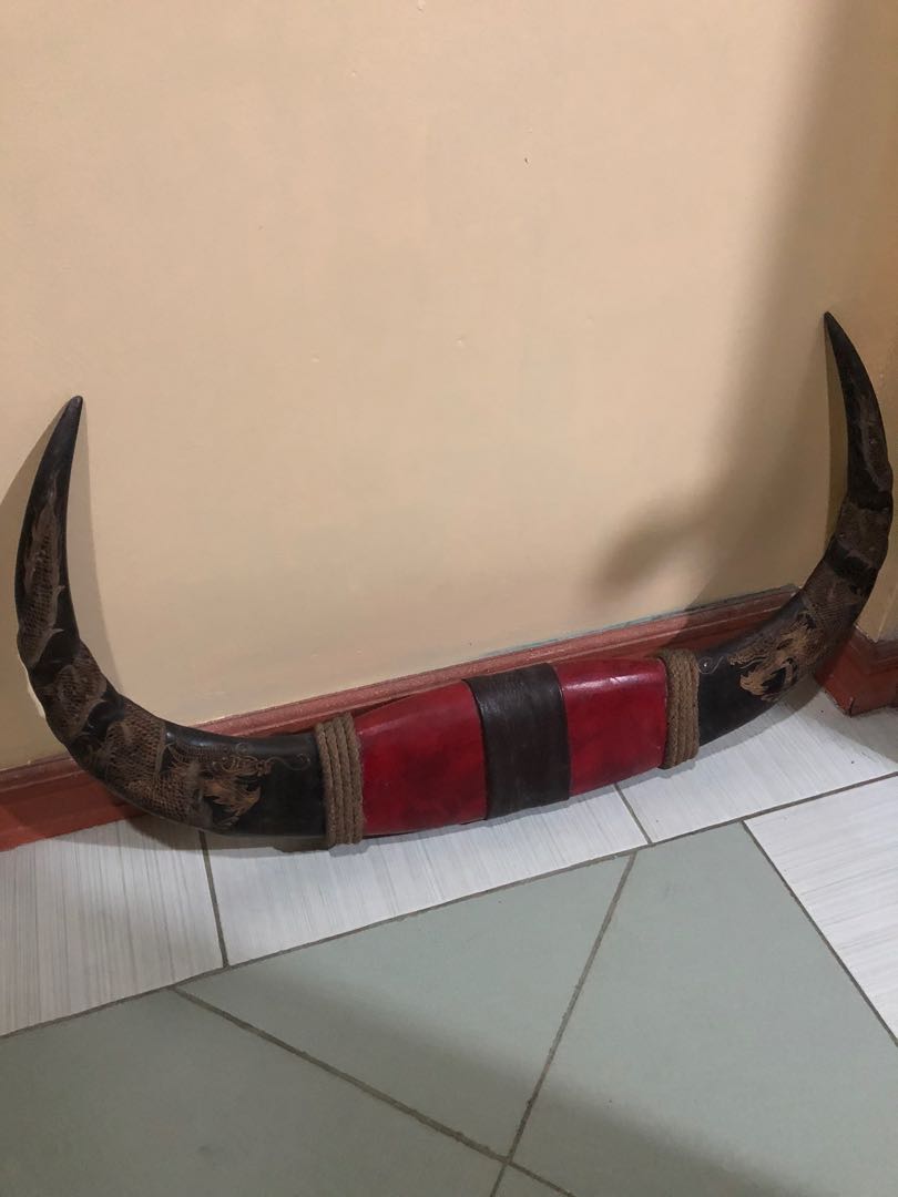 Antique vintage large horn wall display, Hobbies & Toys, Memorabilia ...