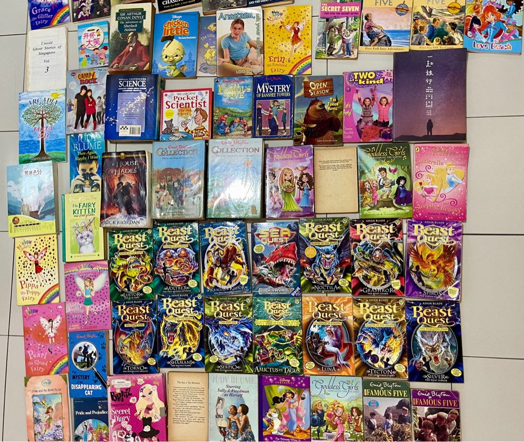 Assortment story books - Enid Blyton, Adam Blade, Narinder Dhami, Daisy ...
