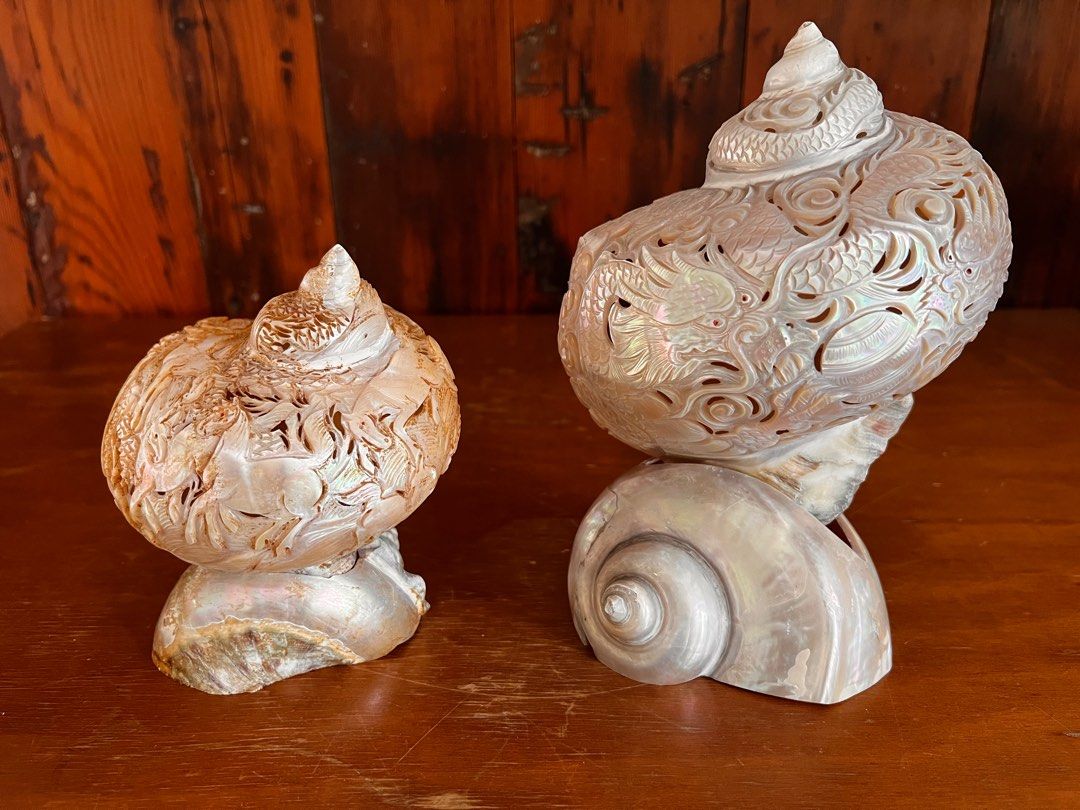 Vintage Carved polish Cone/ Conch Shell, Furniture & Home Living, Home ...