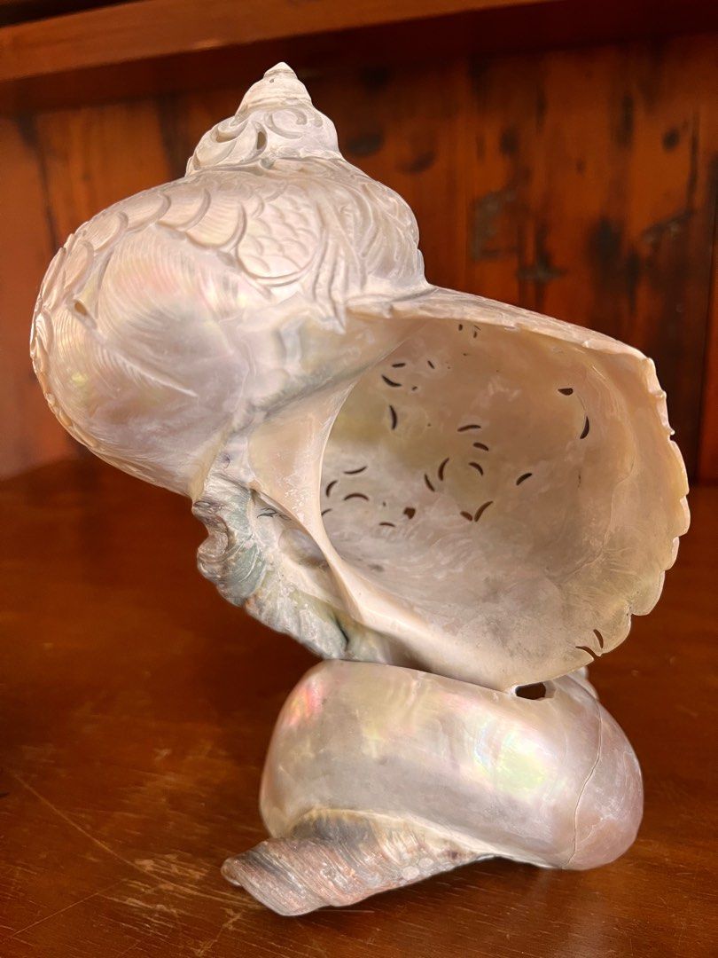 Vintage Carved polish Cone/ Conch Shell, Furniture & Home Living, Home ...