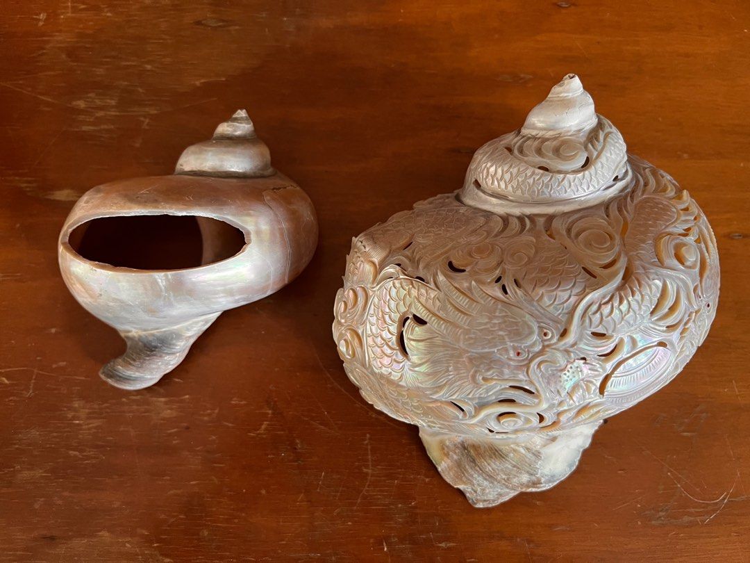 Vintage Carved polish Cone/ Conch Shell, Furniture & Home Living, Home ...
