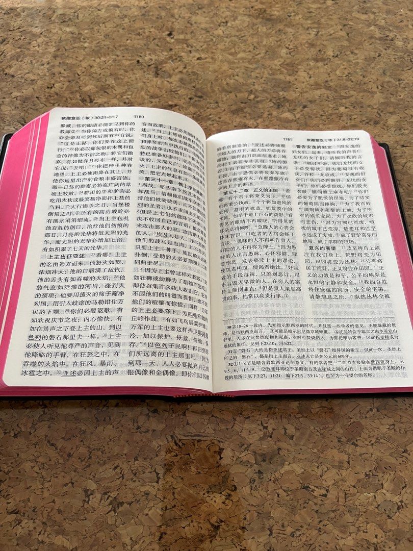 Chinese Catholic Bible, Hobbies & Toys, Books & Magazines, Religion ...