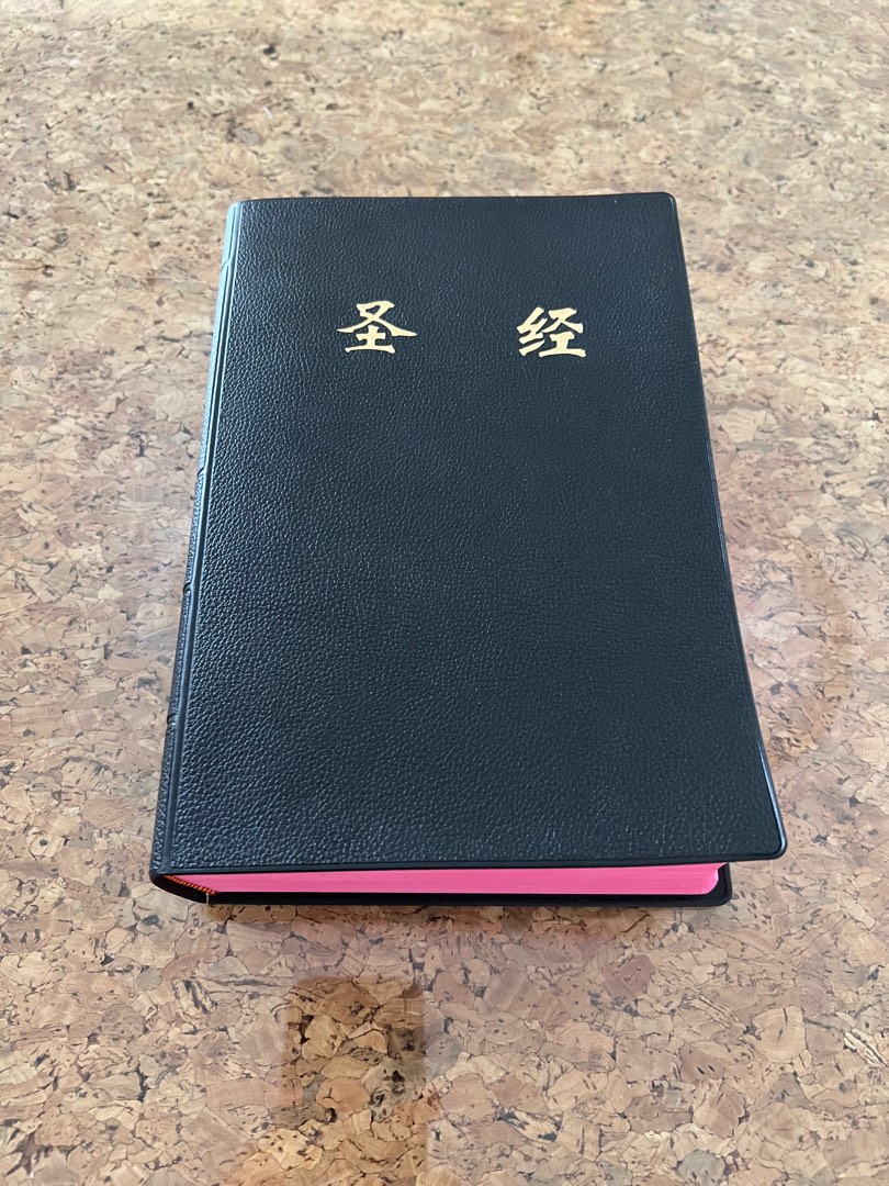 Chinese Catholic Bible, Hobbies & Toys, Books & Magazines, Religion ...