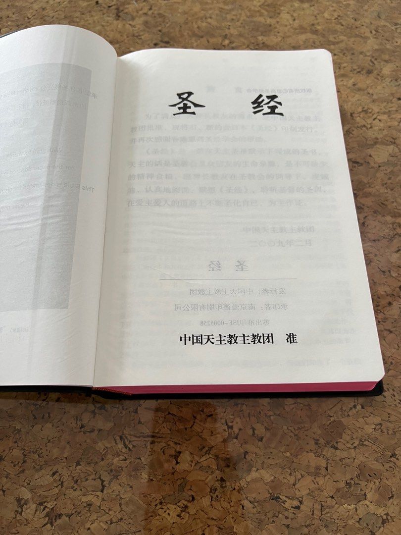 Chinese Catholic Bible, Hobbies & Toys, Books & Magazines, Religion ...