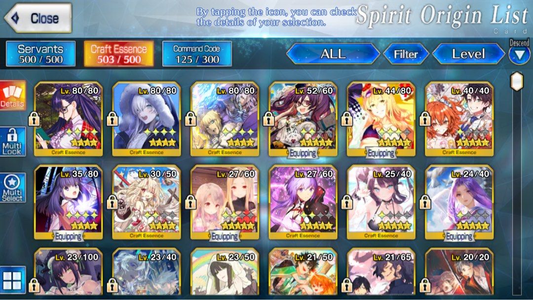 FGO HIGH LEVEL ACCOUNT, Video Gaming, Gaming Accessories, Game Gift ...