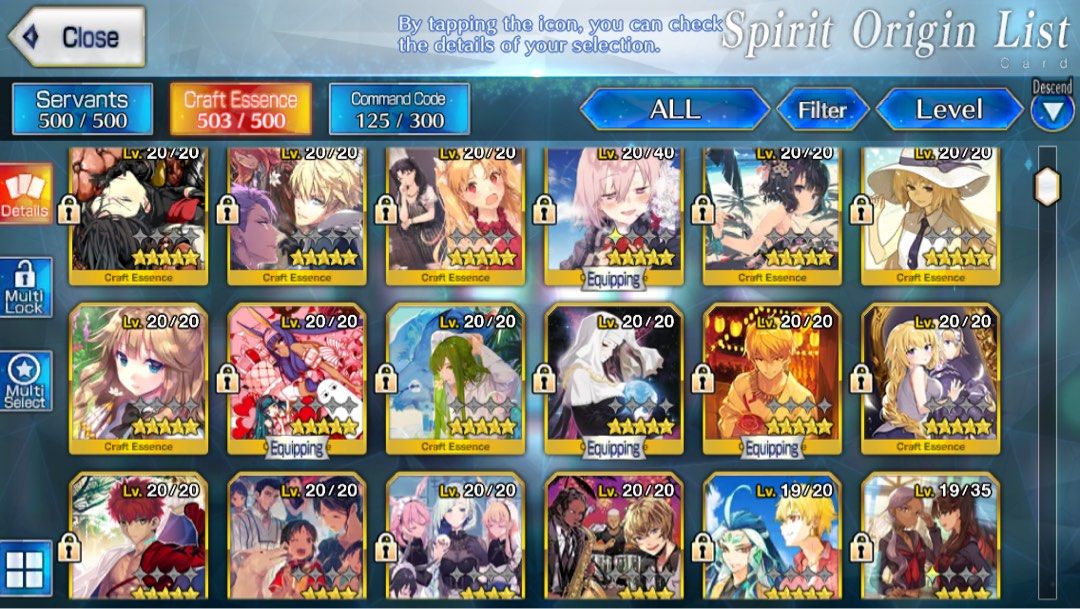 FGO HIGH LEVEL ACCOUNT, Video Gaming, Gaming Accessories, Game Gift ...