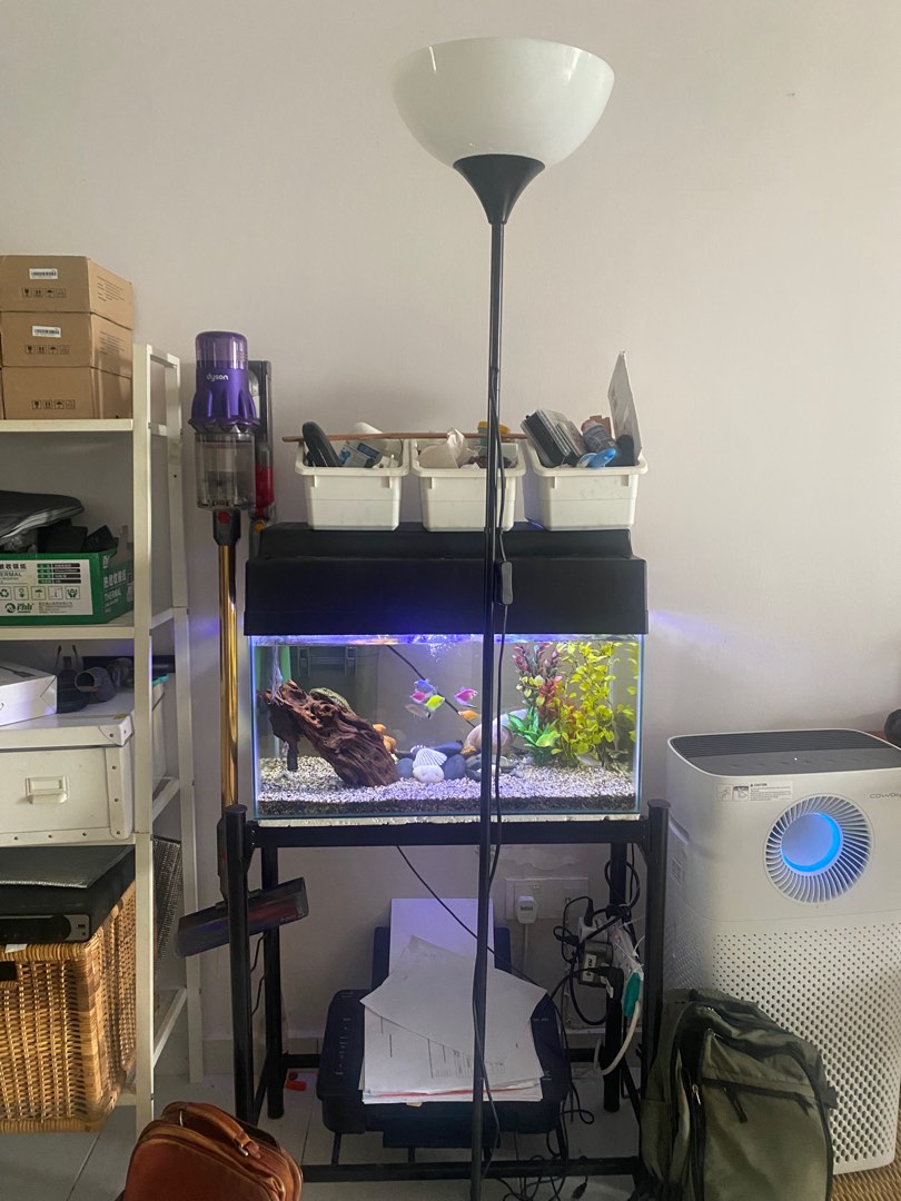 Ikea tall floor lamp, Furniture & Home Living, Lighting & Fans ...