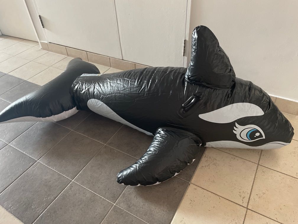 Intex Orca float, Hobbies & Toys, Toys & Games on Carousell