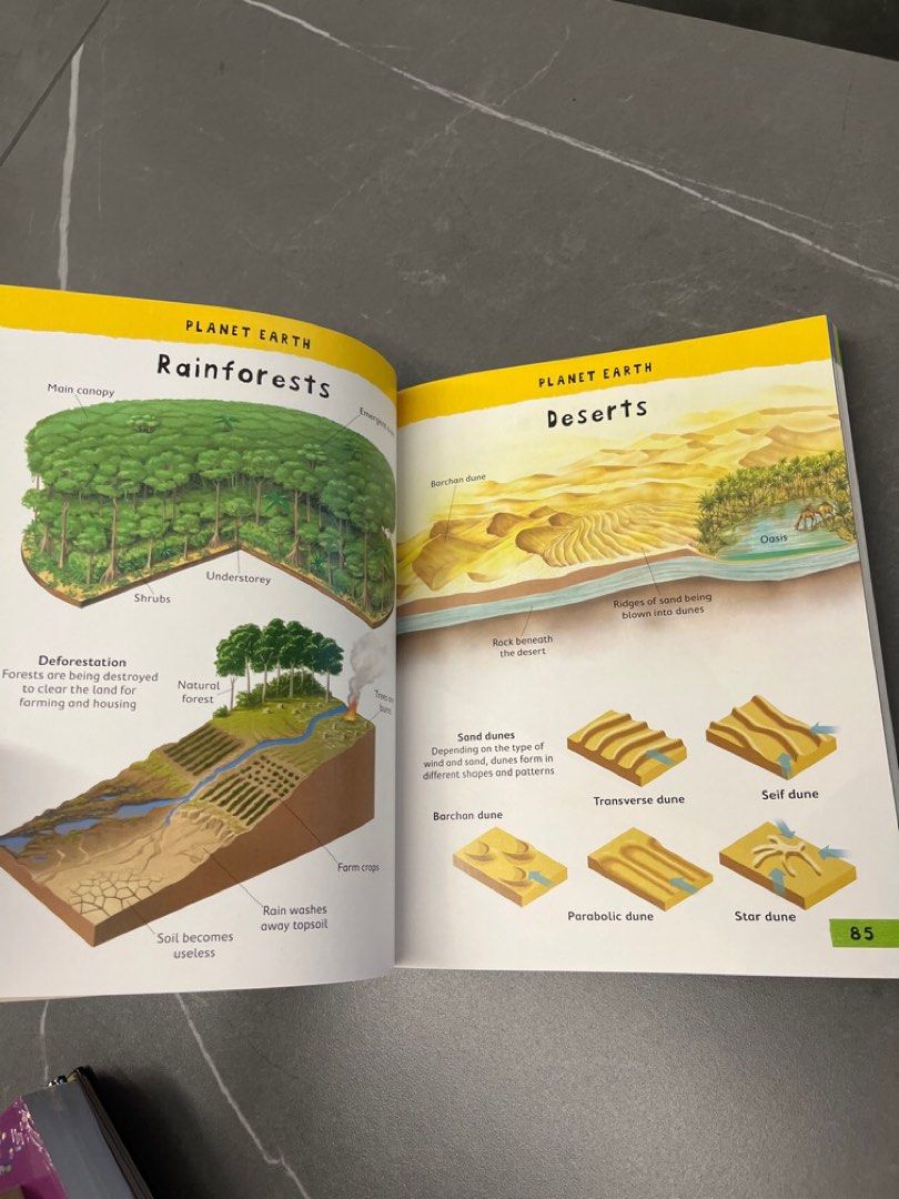 Junior Picture Dictionary, Hobbies & Toys, Books & Magazines, Children ...