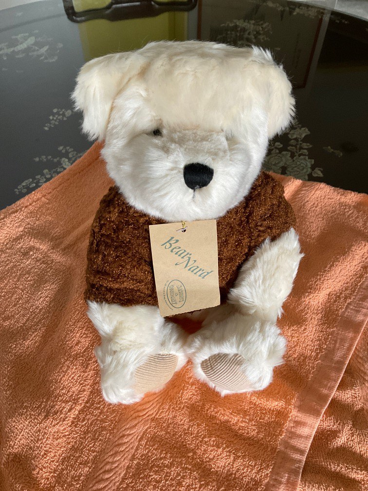 Nard Bear, Hobbies & Toys, Toys & Games on Carousell