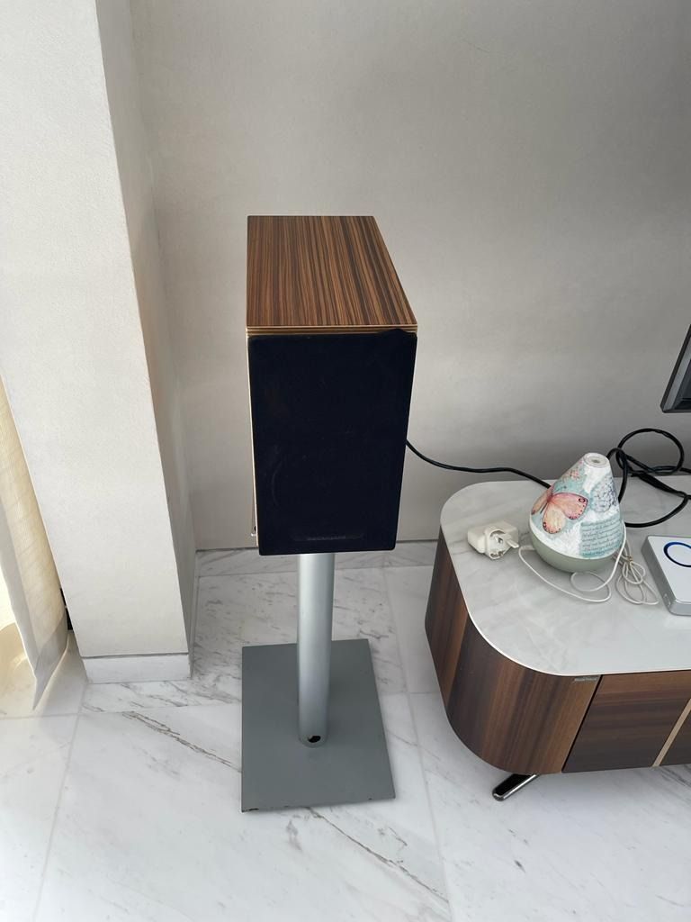 Penaudio Cenya Speakers with Stands, Audio, Soundbars, Speakers ...