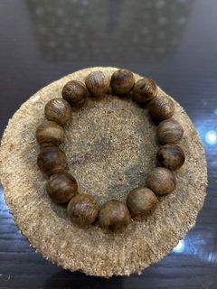 SUPER QUALITY KYNAM AGARWOOD W/ SUPER RARE AGAR TREE BARK SKIN INTACT ...