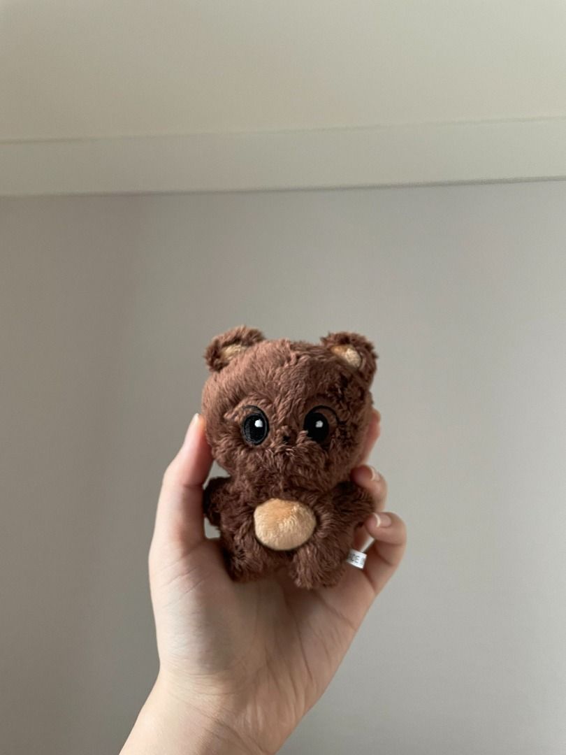 Seventeen SVT Seungkwan Winnie the Boo 10cm Dark Brown Bear Doll by ...