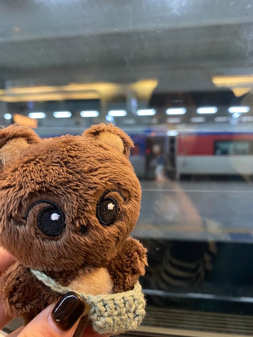 Seventeen SVT Seungkwan Winnie the Boo 10cm Dark Brown Bear Doll by ...