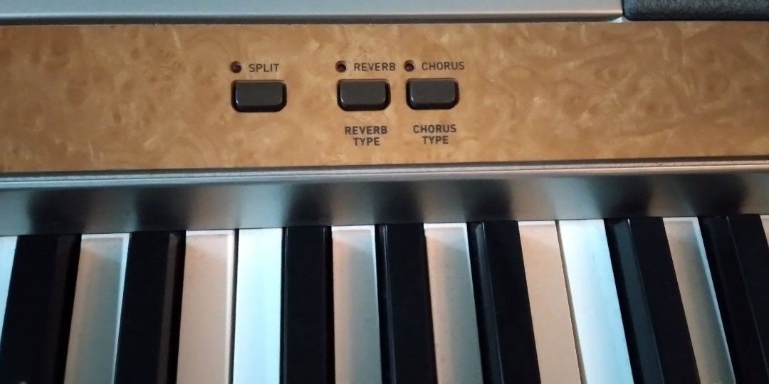 Casio Privia Px-110 Digital Piano, Hobbies & Toys, Music & Media ...