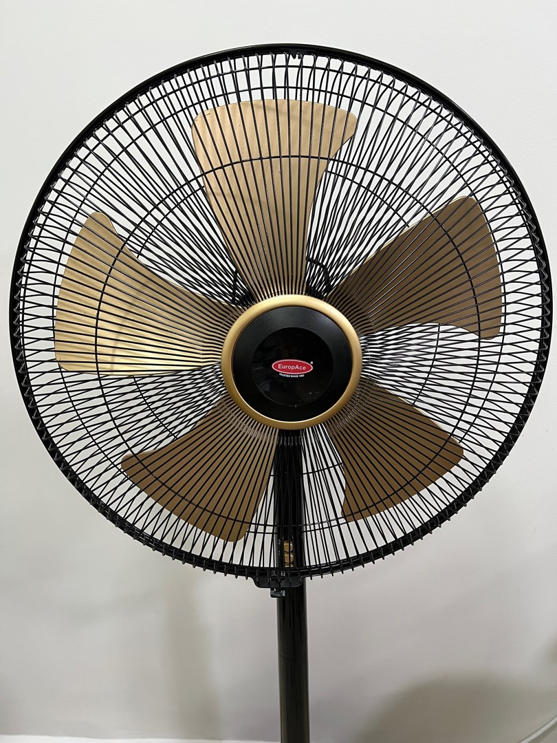 EuropAce 18’’ Standing Fan, Furniture & Home Living, Lighting & Fans ...