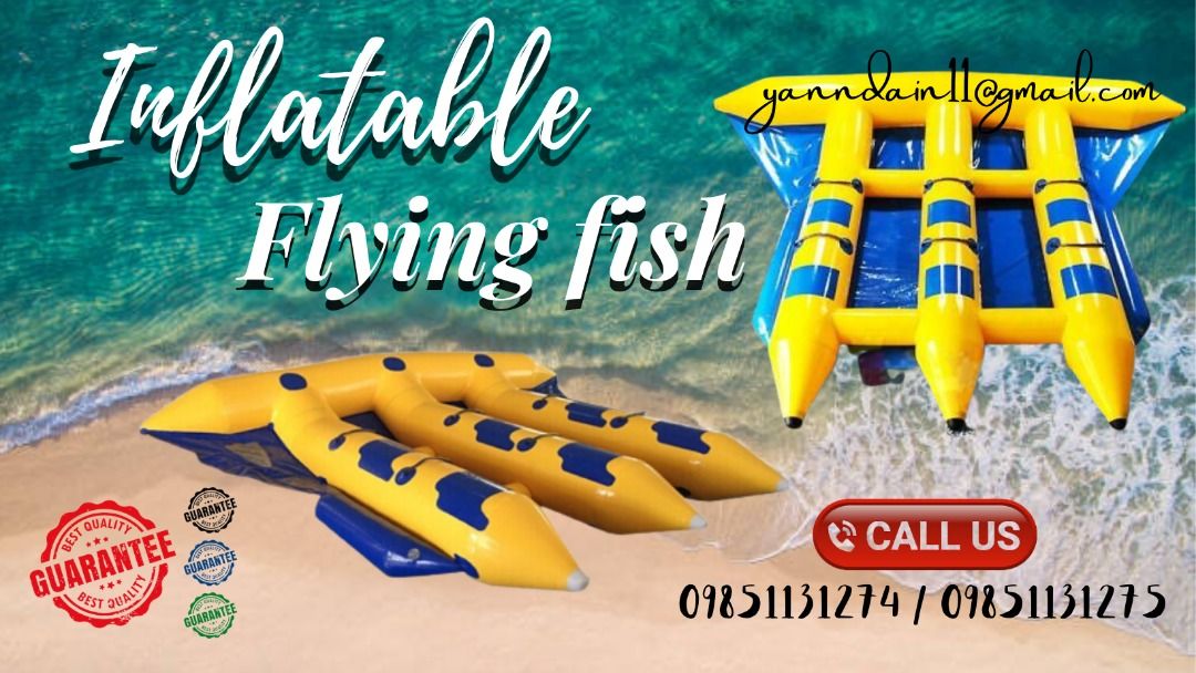 Inflatable flying fish - 6 seaters, Everything Else, Others on Carousell