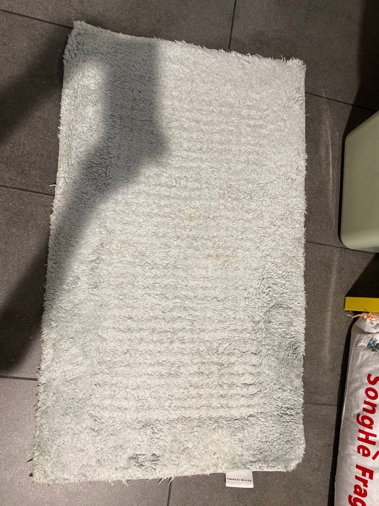 Light Green Floor Mat Charles Mitten, Furniture & Home Living, Home ...