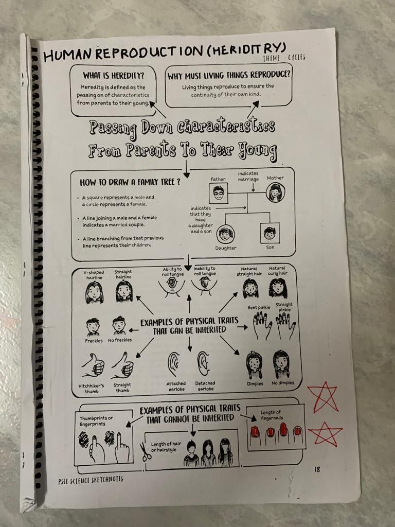 PSLE Science sketchnotes (1st Edition) by Tan Kia Yin Alice with second ...