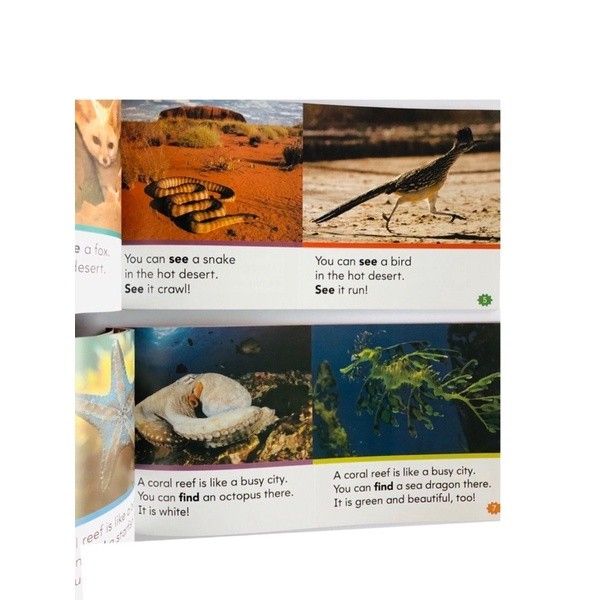 Scholastic Nonfiction Sight Word Readers Pack Levels A-D, Hobbies ...