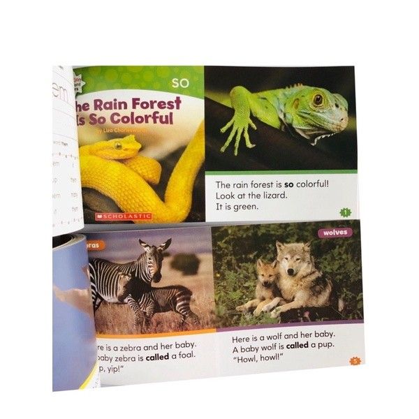 Scholastic Nonfiction Sight Word Readers Pack Levels A-D, Hobbies ...
