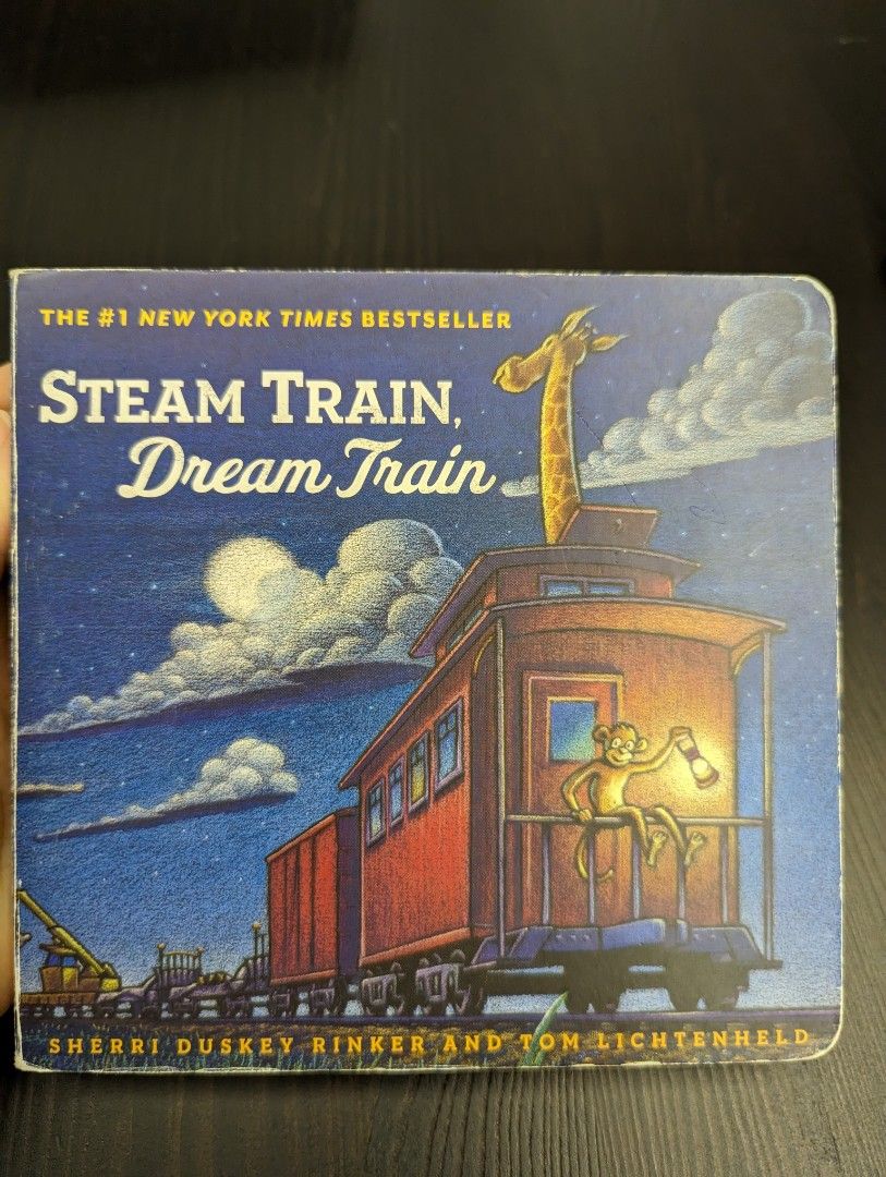 Steam Train dream Train (Rinker), Hobbies & Toys, Books & Magazines ...