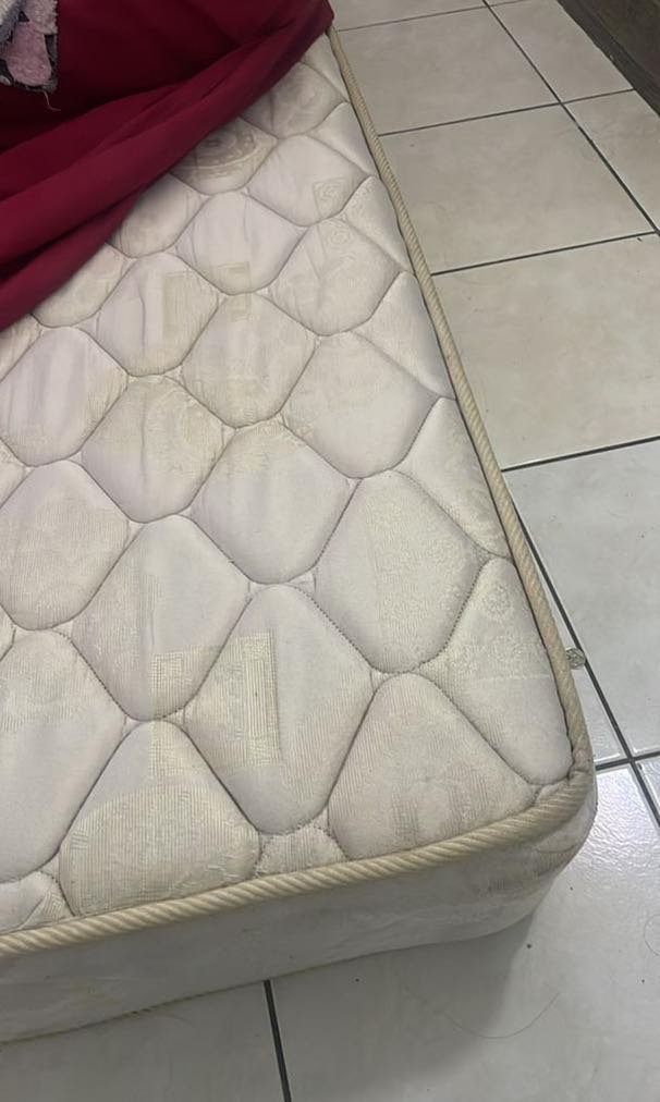 Tilam, Furniture & Home Living, Furniture, Bed Frames & Mattresses on ...