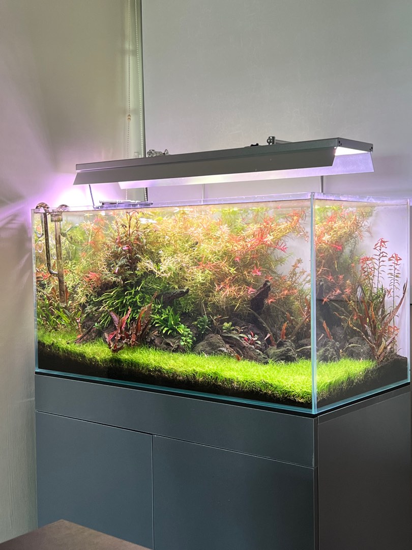 90cm 3ft Aquarium Light Weekaqua L900 PRO UV app control, Pet Supplies ...