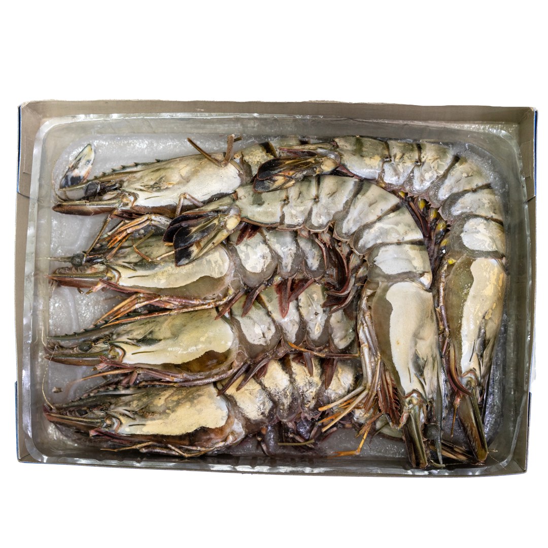 Wild Caught Frozen Tiger Prawns, Food & Drinks, Chilled & Frozen Food ...