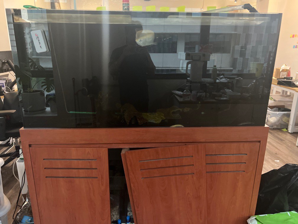 5ft fish tank, Pet Supplies, Homes & Other Pet Accessories on Carousell