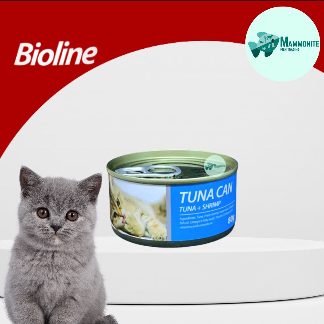 Bioline Tuna Can Cat Food 80 Grams Beef Chicken Shrimp, Pet Supplies ...