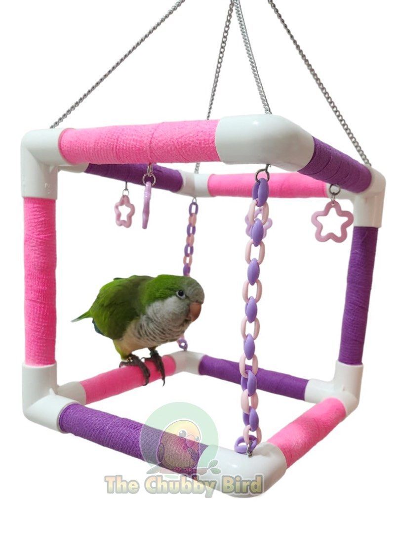 Cubic Cube Swing - Hanging Perch for small to medium parrots, Pet Supplies, Homes & Other Pet ...