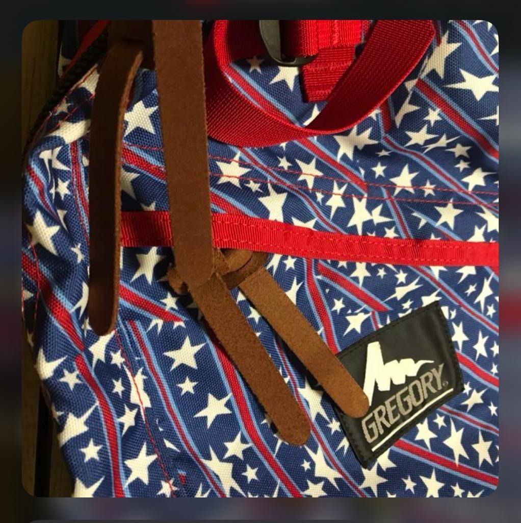 GREGORY Japan Classic Logo Day Pack 26L Backpack, 女裝, 手袋及銀包, 背囊 - Carousell