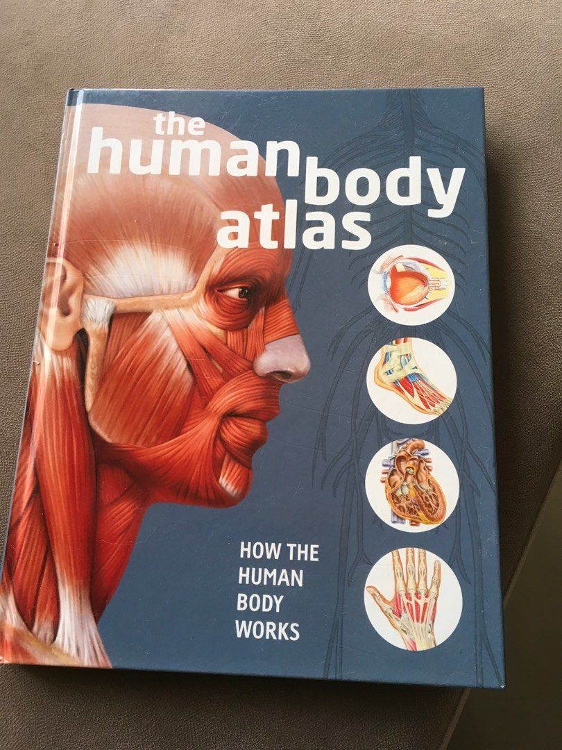 Human Body Atlas, Hobbies & Toys, Books & Magazines, Textbooks on Carousell