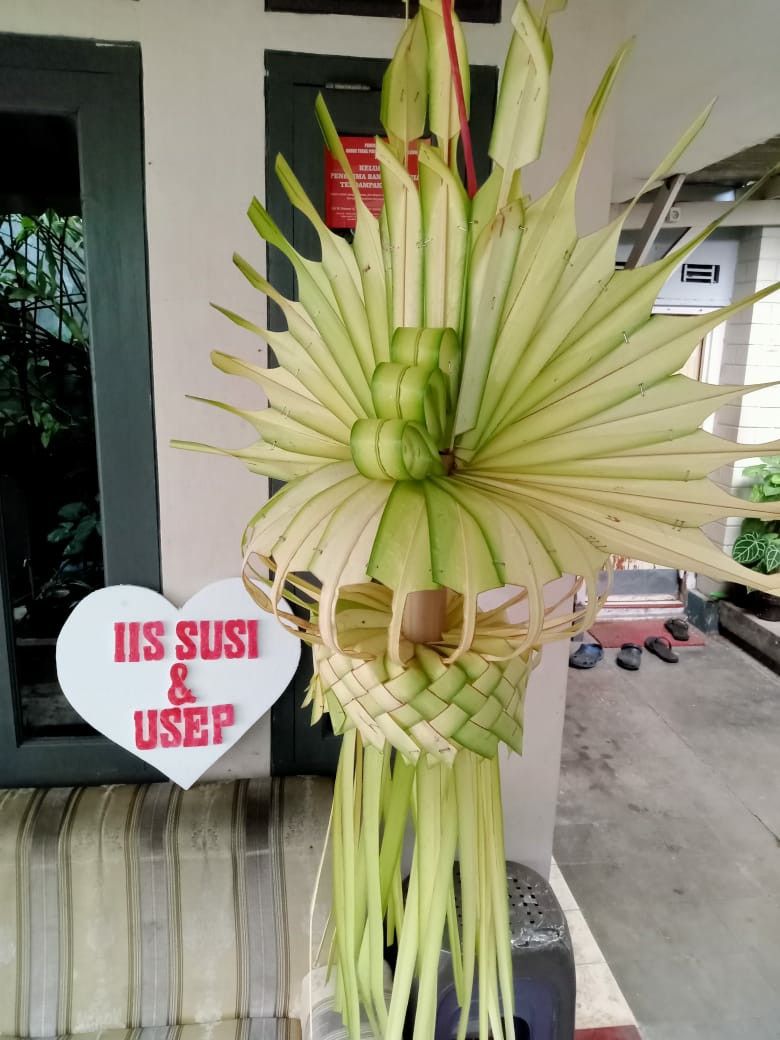 Janur kuning asli + nama janur, Perkebunan di Carousell