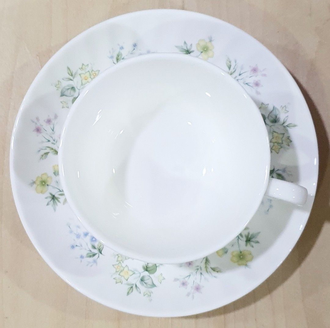 Minton Spring Valley Fine Bone China Cup and Saucer, Furniture & Home ...