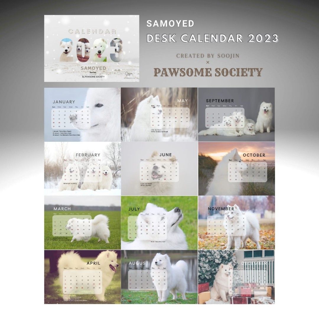 [PO] DESK CALENDAR 2023 - SAMOYED (created by soojin), Hobbies & Toys ...